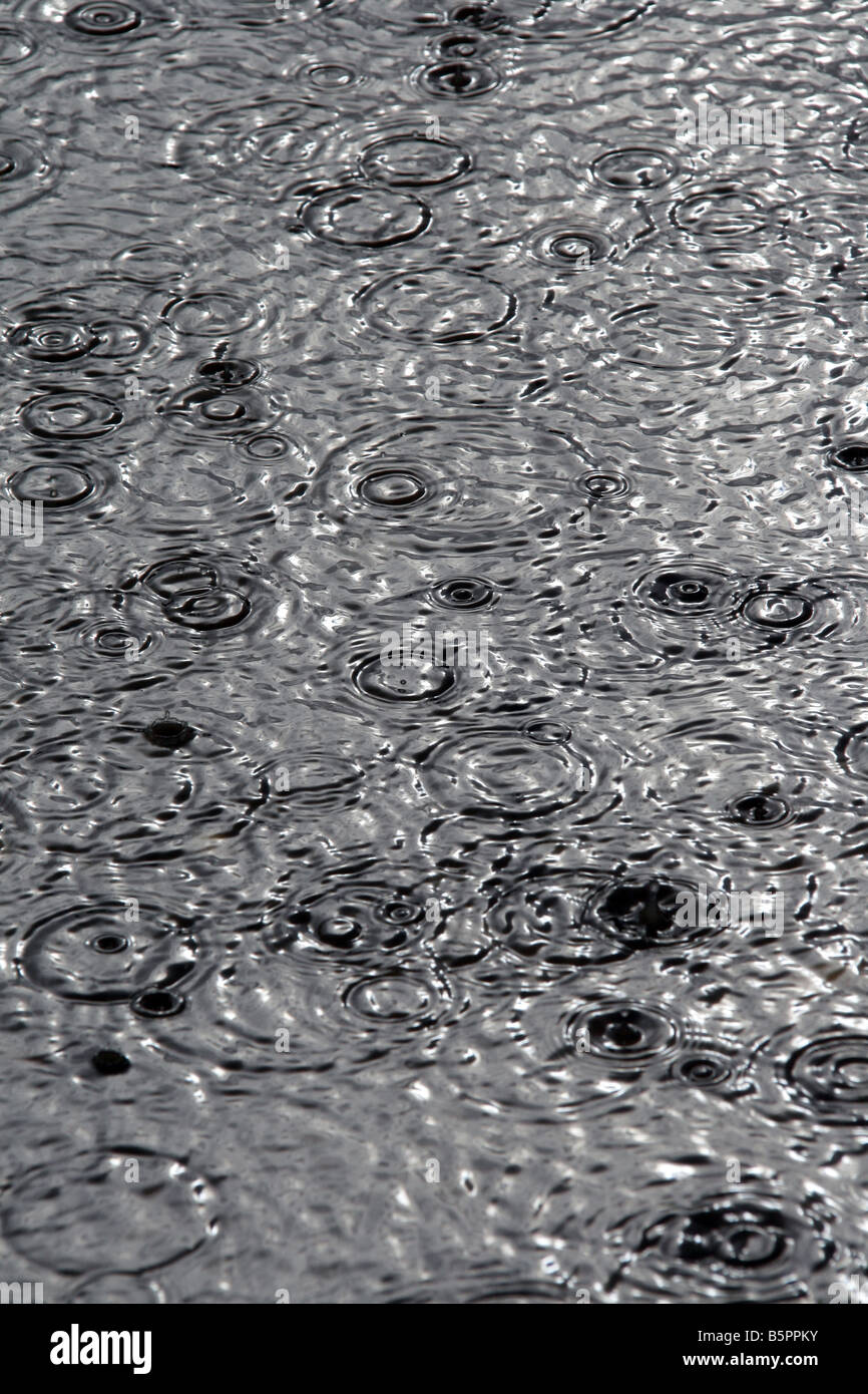 lots rain drops falling in water puddle in street Stock Photo - Alamy