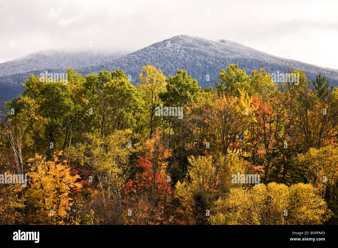 Mount Washington Resort, Bretton Woods, New Hampshire, USA, color ...