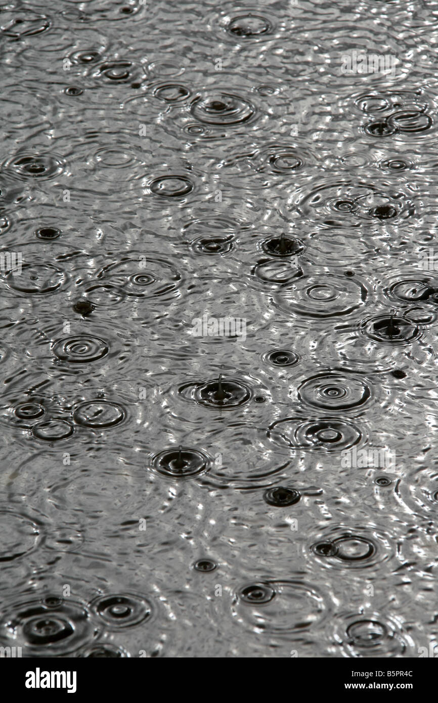 lots rain drops falling in water puddle in street Stock Photo - Alamy