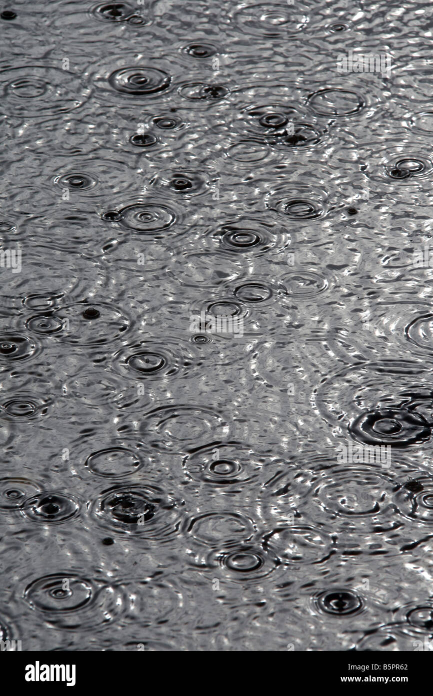 lots rain drops falling in water puddle in street Stock Photo - Alamy