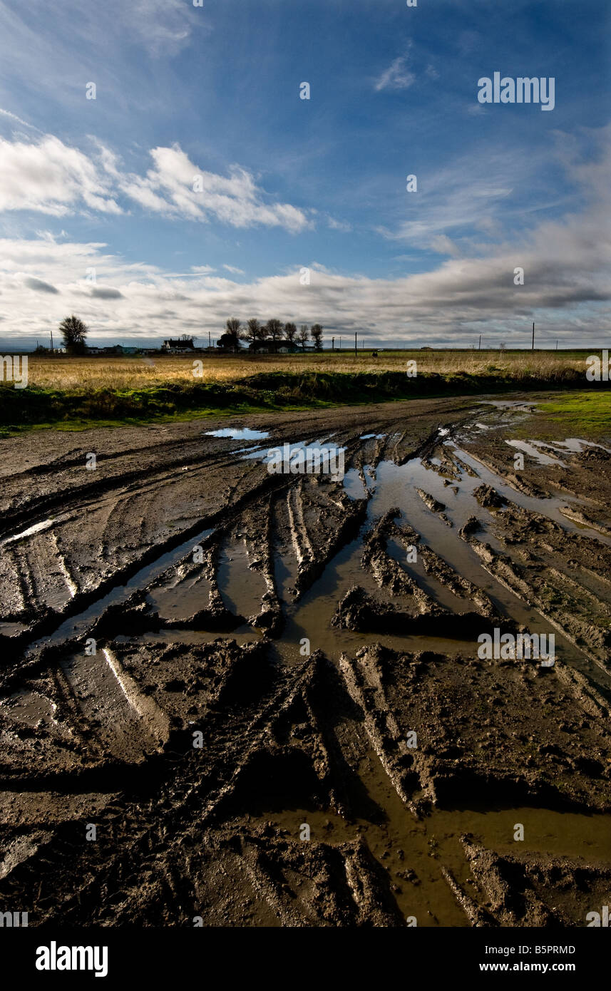 Mud ruts hi-res stock photography and images - Alamy
