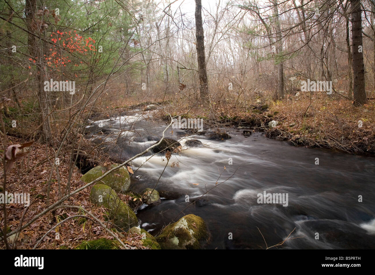 Photograph of a brook in the fall Stock Photo - Alamy
