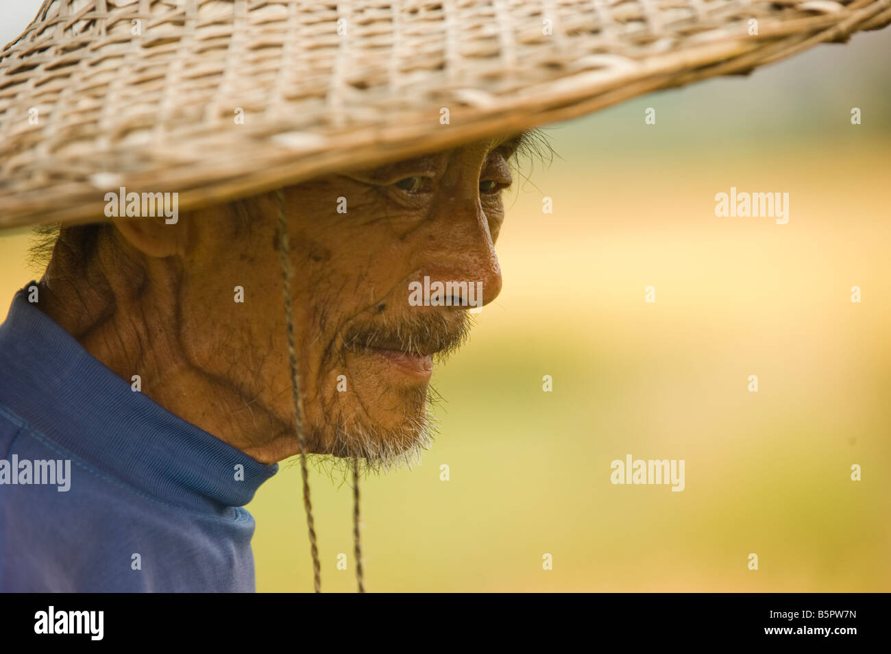 China rice farming south hi-res stock photography and images - Alamy