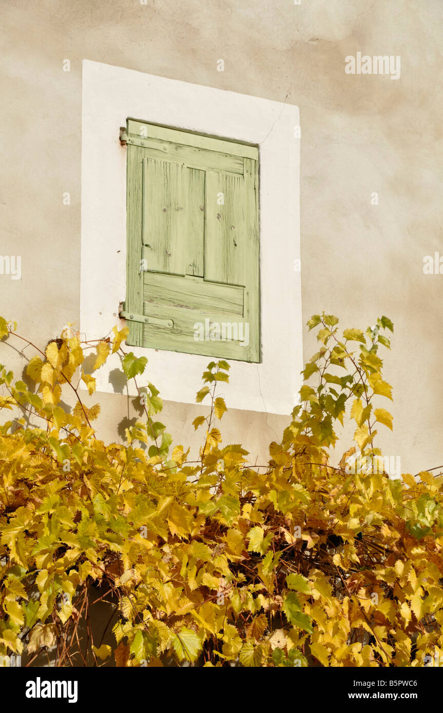 Shuttered window Cereste Provence France Stock Photo - Alamy