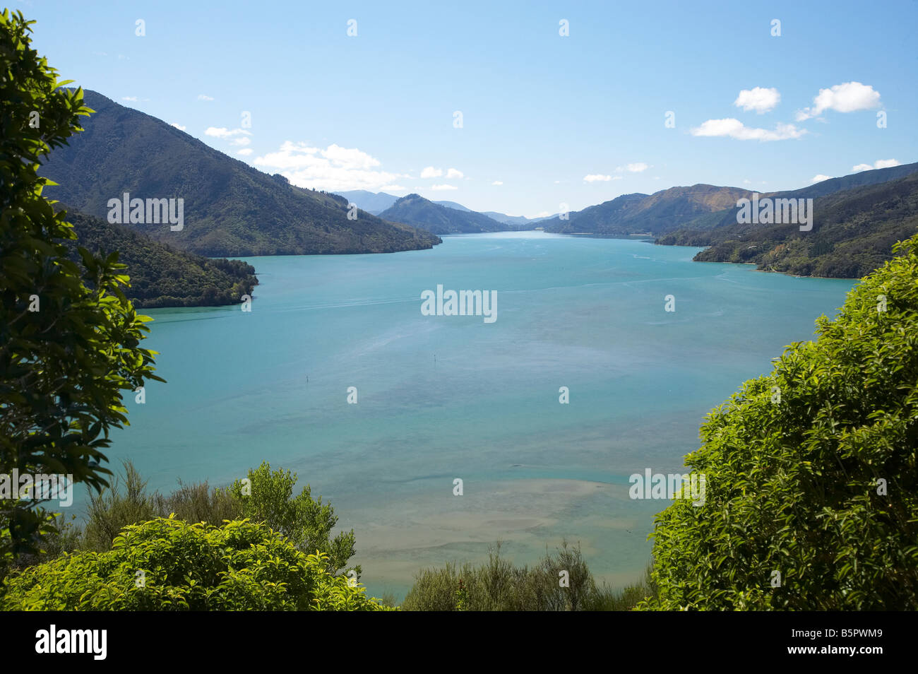 Mahakipawa Arm Mahau Sound Marlborough Sounds South Island New Zealand ...
