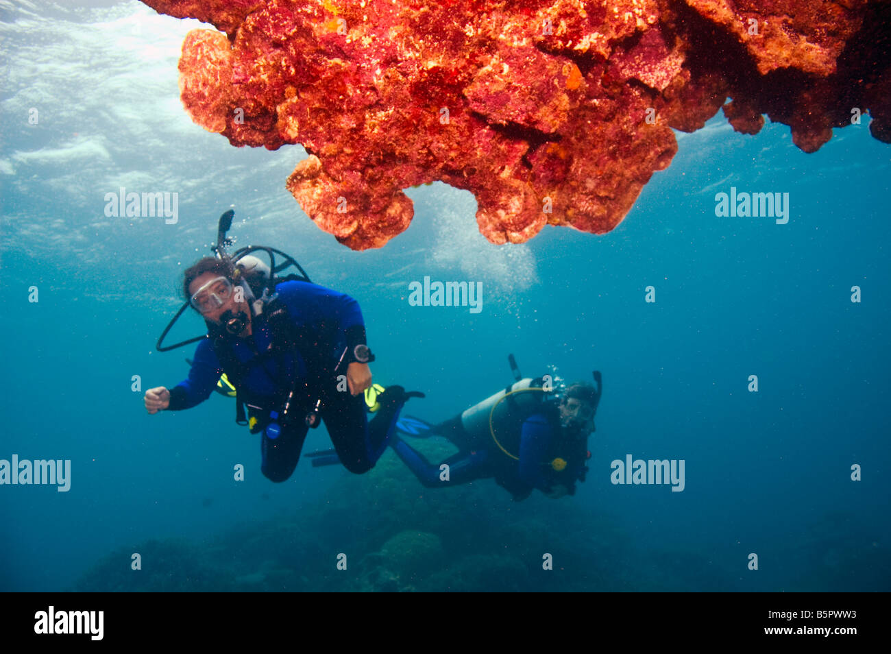 two scuba divers and coral of great barrier reef australia Stock Photo ...