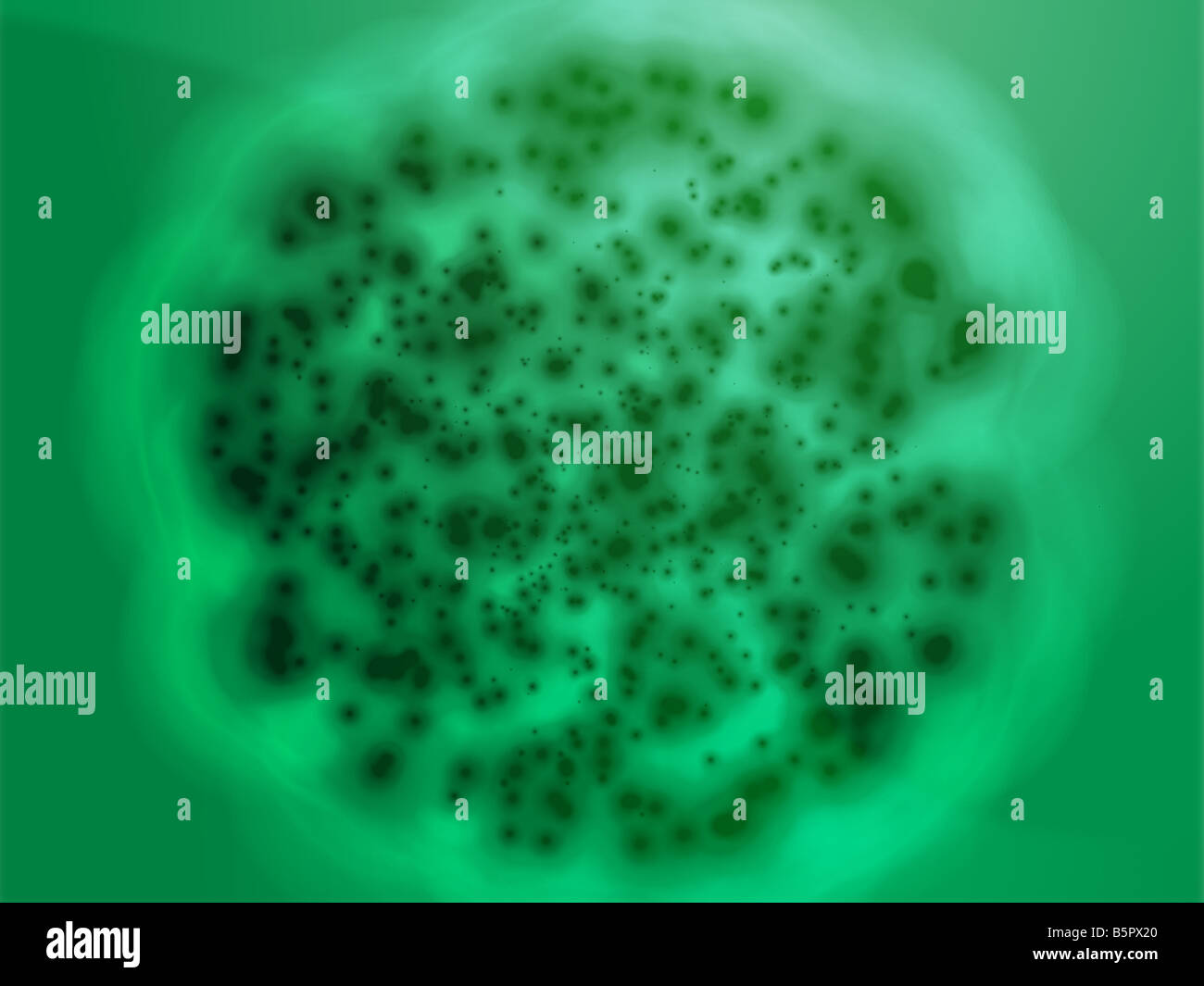 Illustration of bacterial cell growth diseased cellular material Stock ...