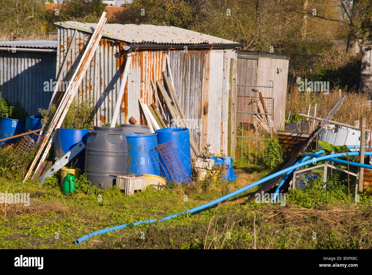Shed on allotment looking untidy in uk Stock Photo - Alamy