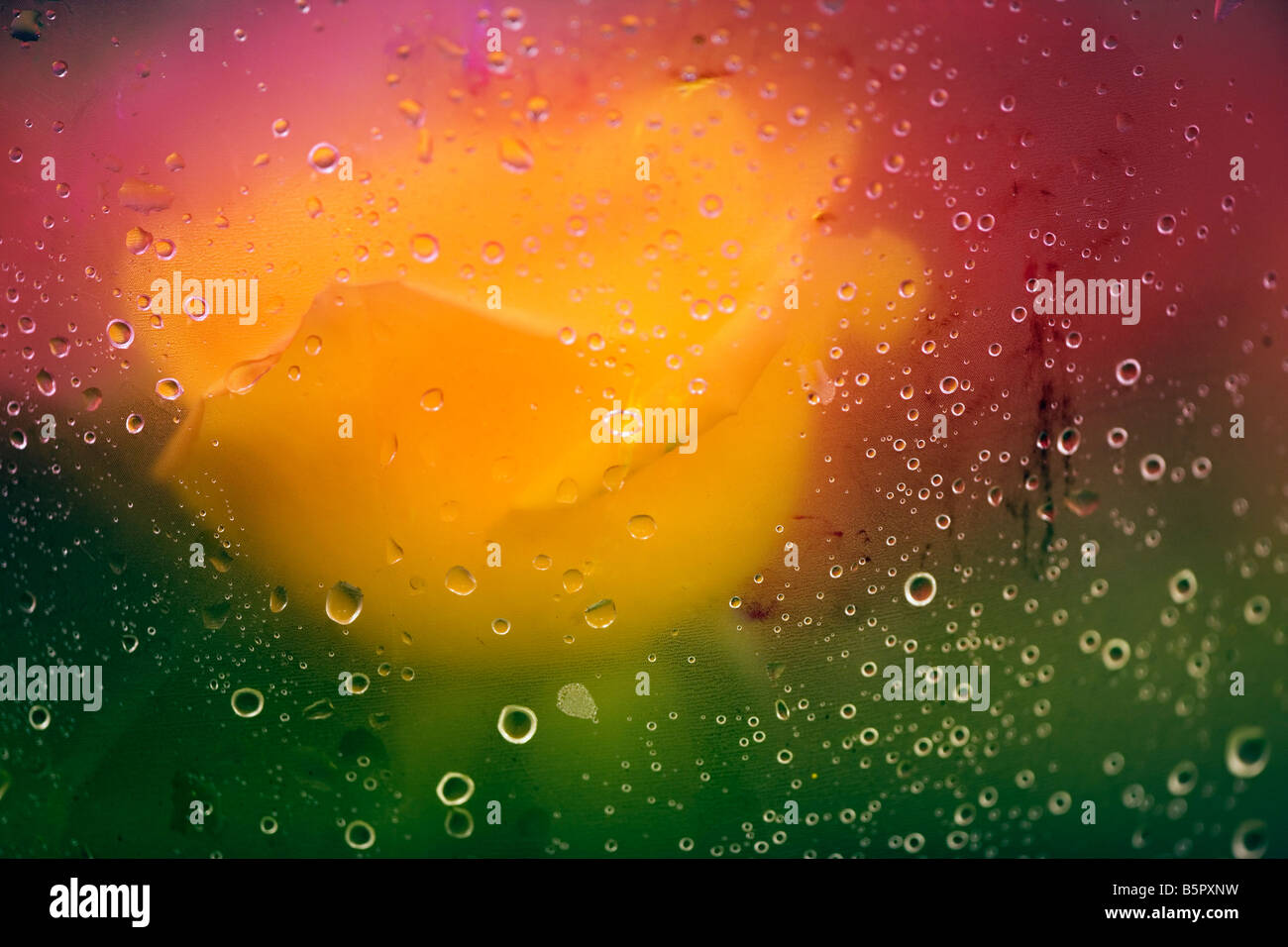 Paper covered hi-res stock photography and images - Alamy