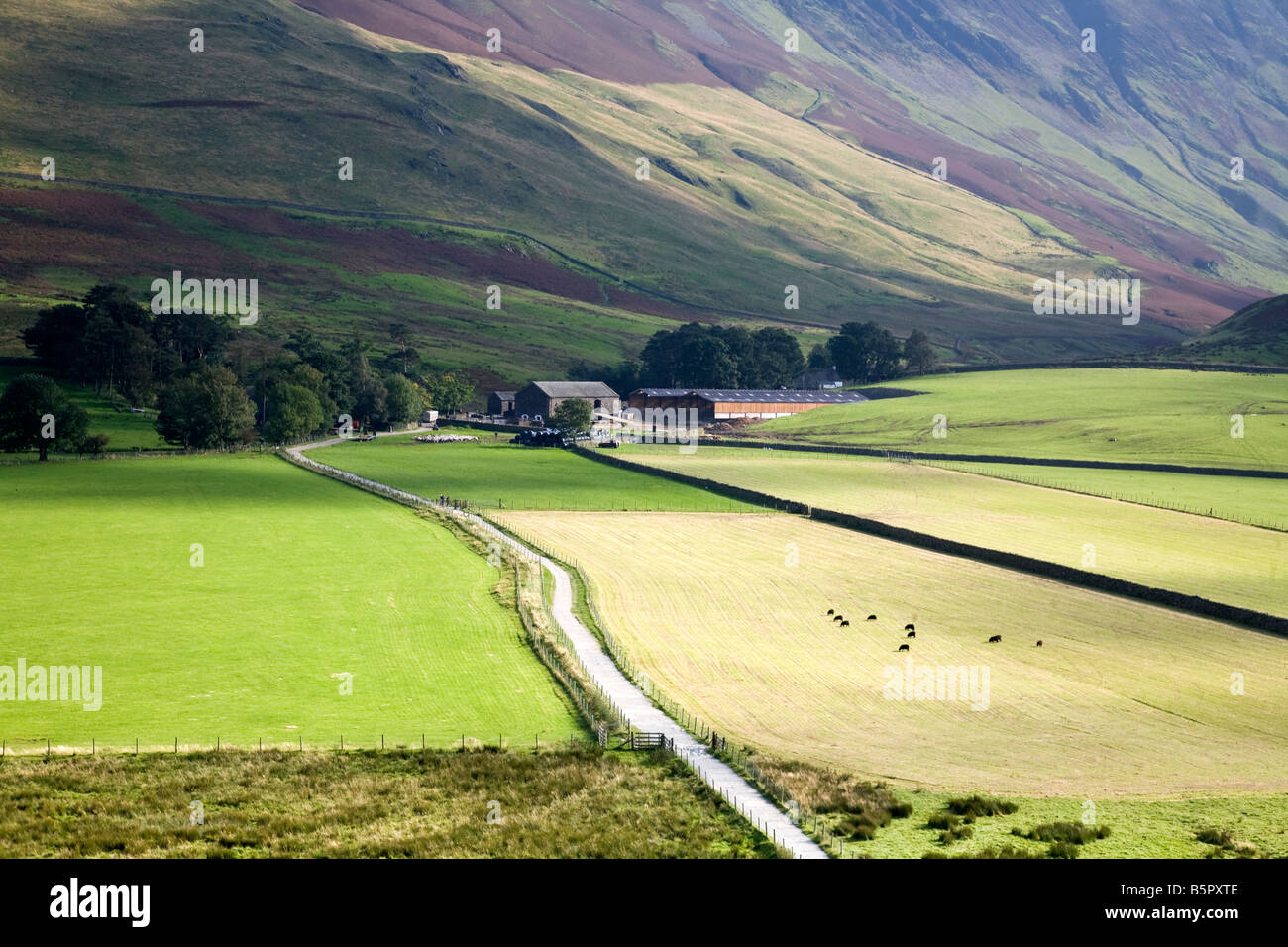 Looking back down to Wharnscale Bottom from "Scarth Gap Stock Photo - Alamy