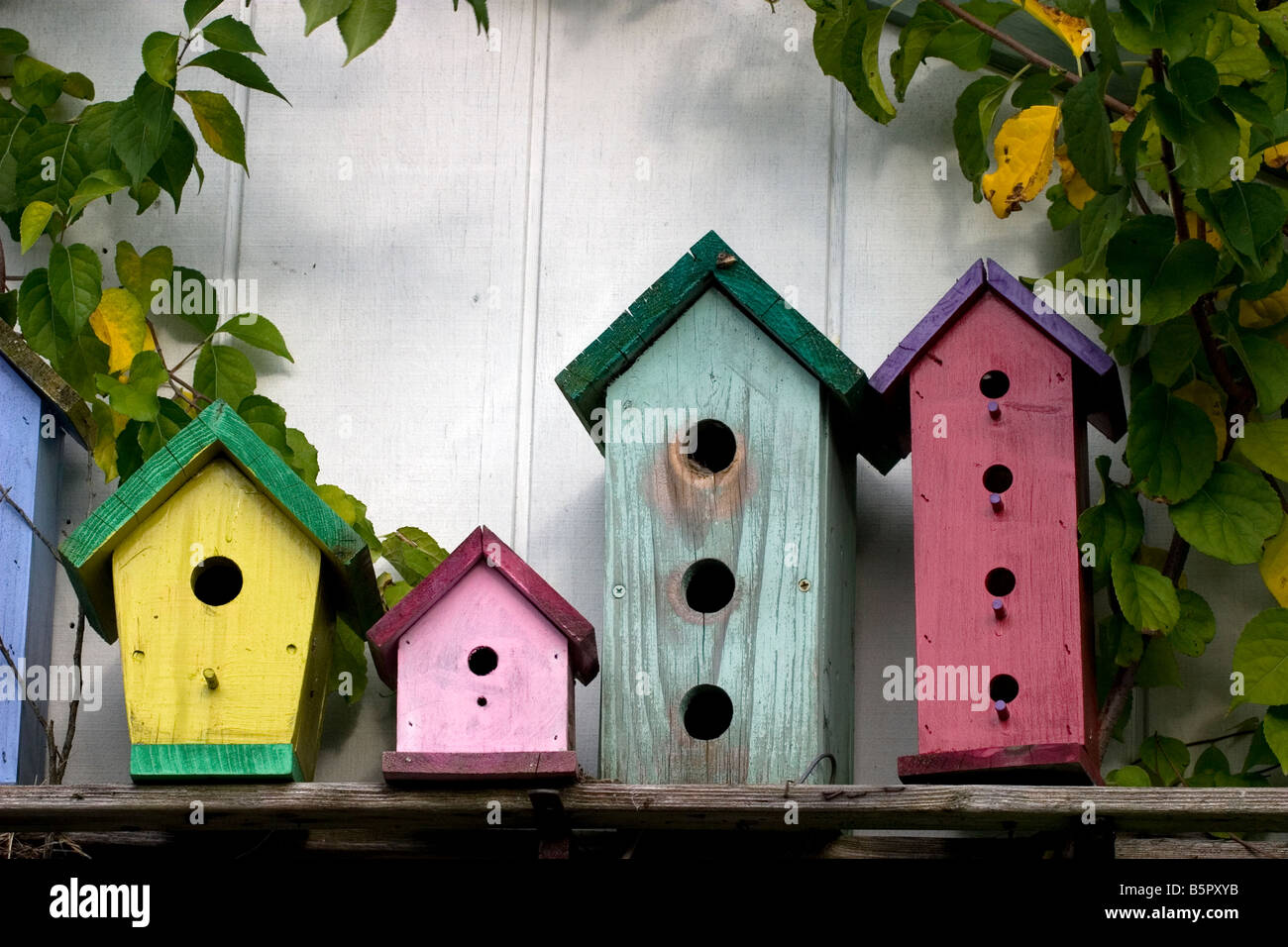 Colorful birdhouses hi-res stock photography and images - Alamy