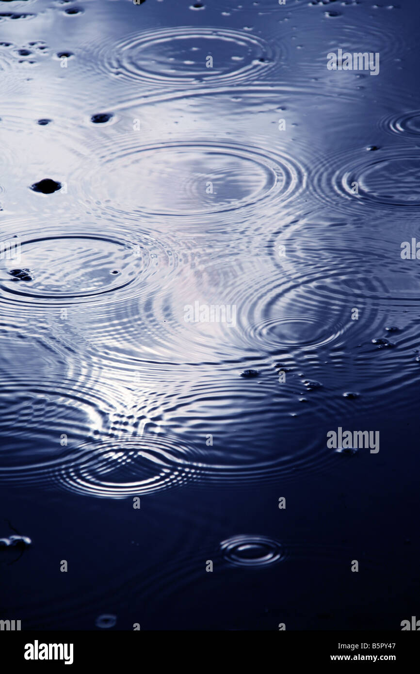 rain drops falling in cold blue water puddle in street at night Stock ...