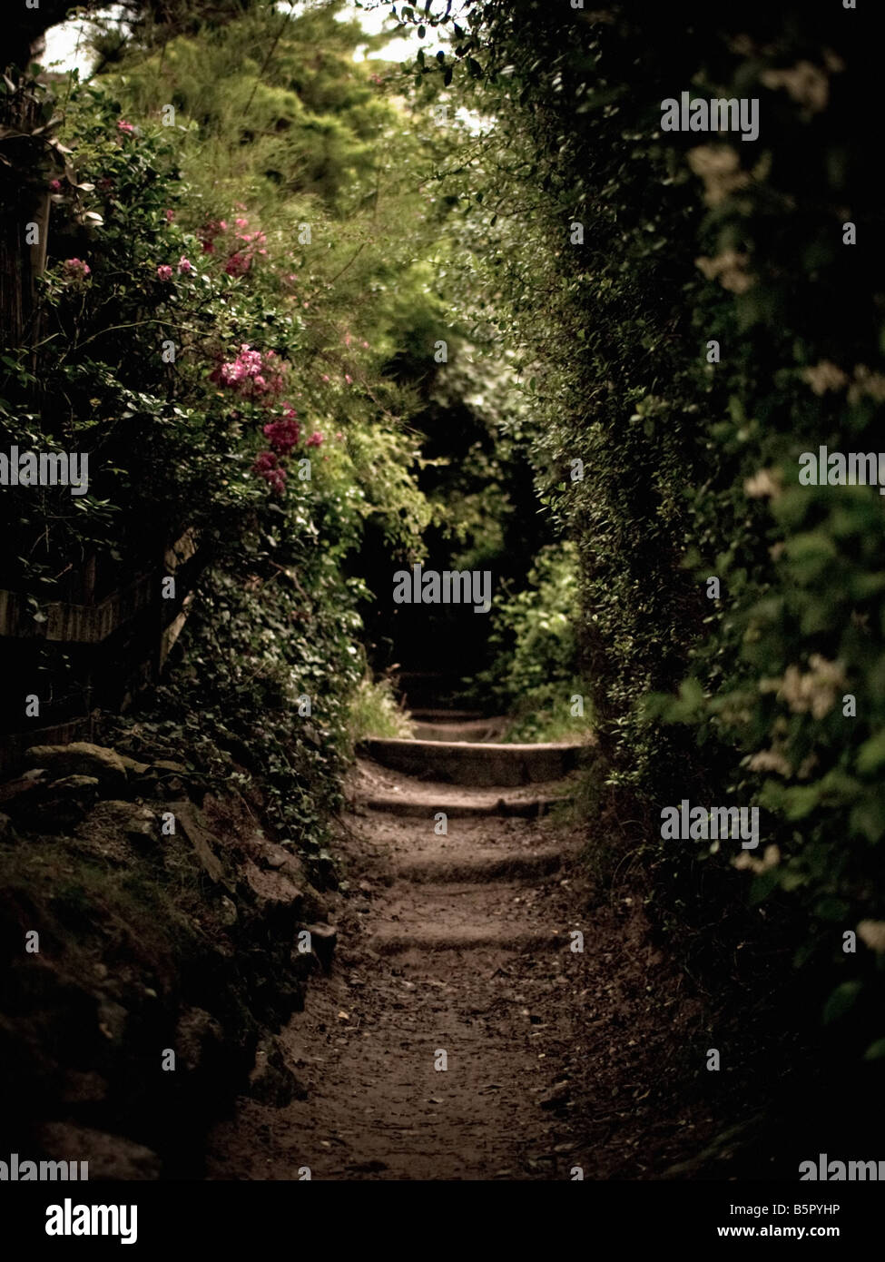 Part of the coastal path, Lelant, Cornwall Stock Photo - Alamy