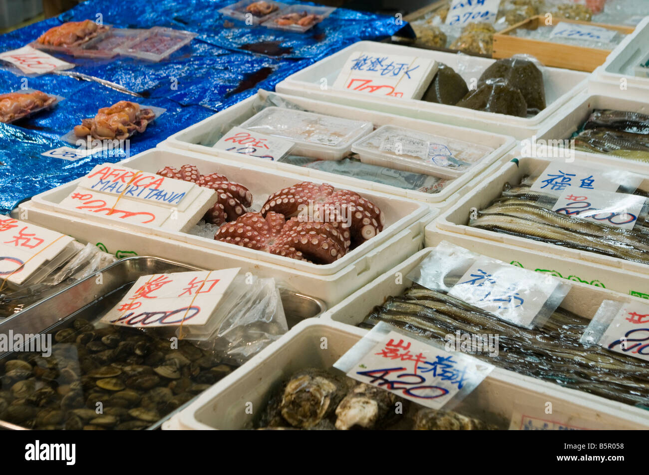Tsukiji Fish Market Booth Stock Photo - Alamy