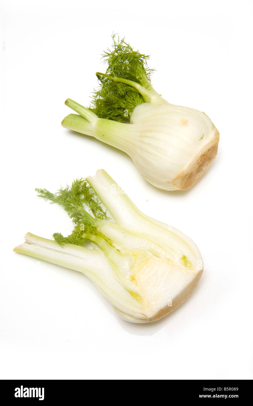 Fennel isolated on a white studio background Stock Photo - Alamy