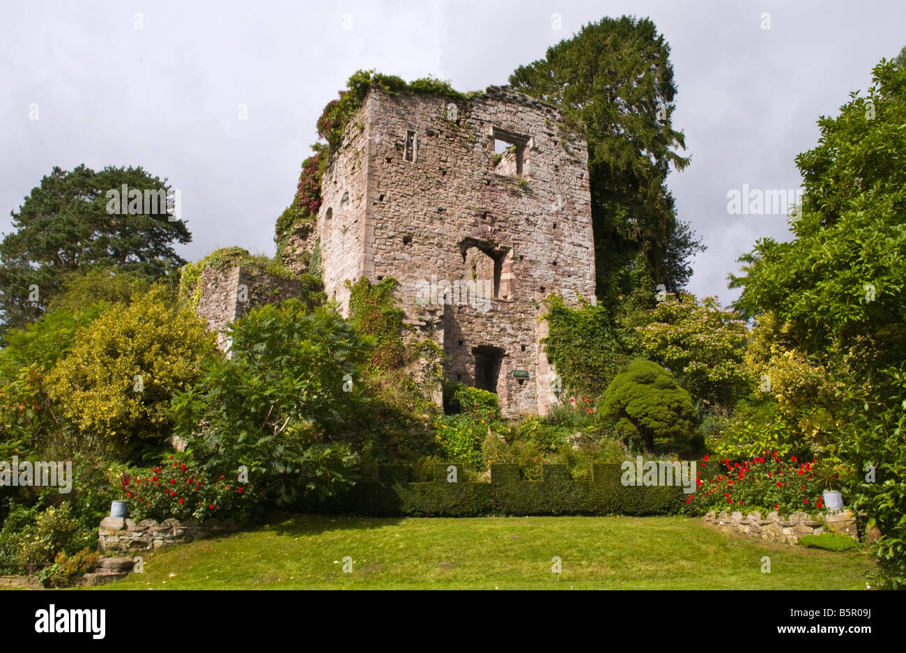 Garden and Keep at Usk Castle dating from the 12th century in the ...