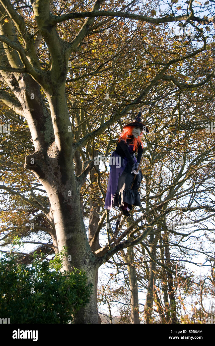 Witch hanging from tree,Scotland Stock Photo - Alamy