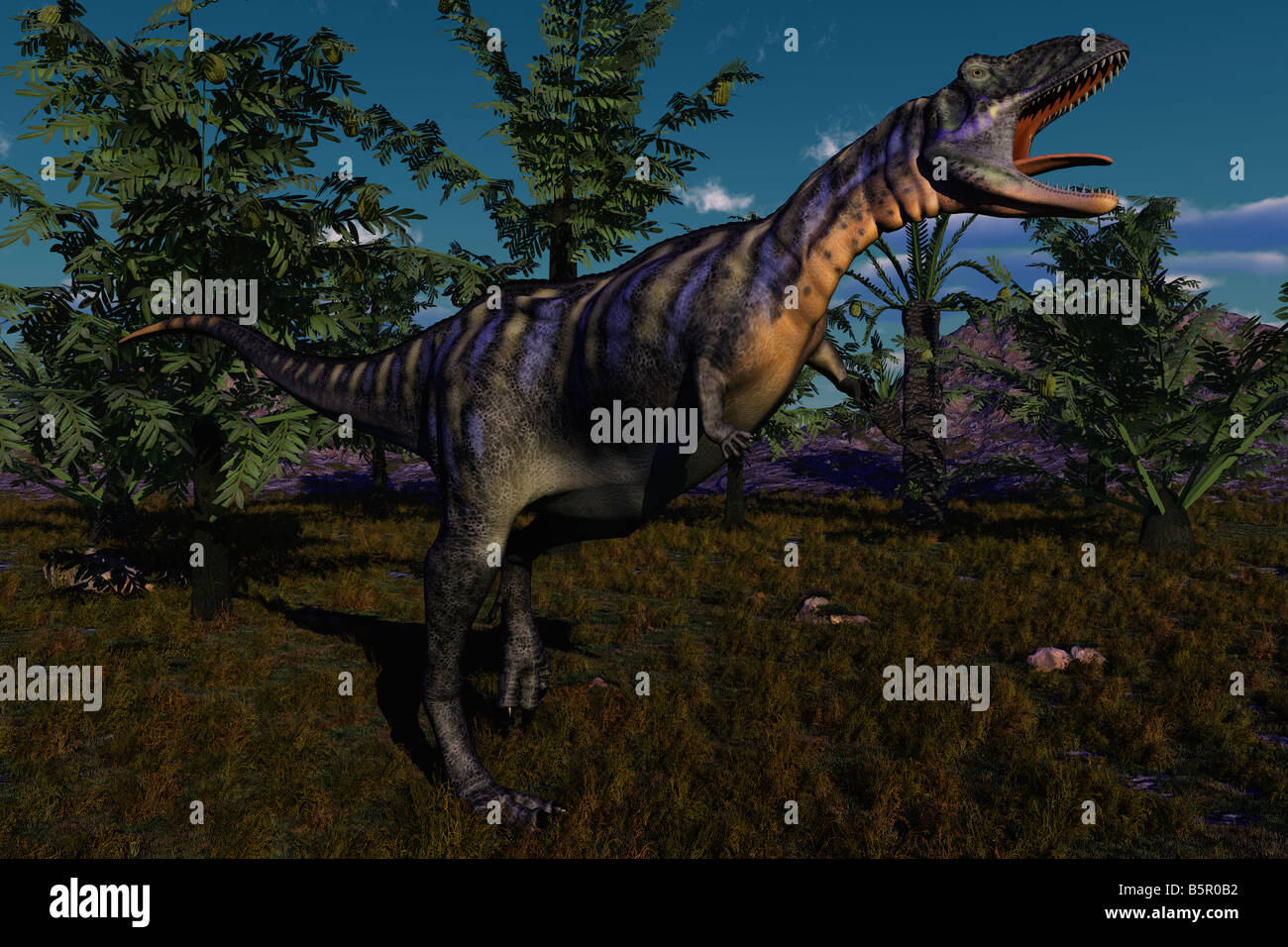 Aucasaurus hi-res stock photography and images - Alamy