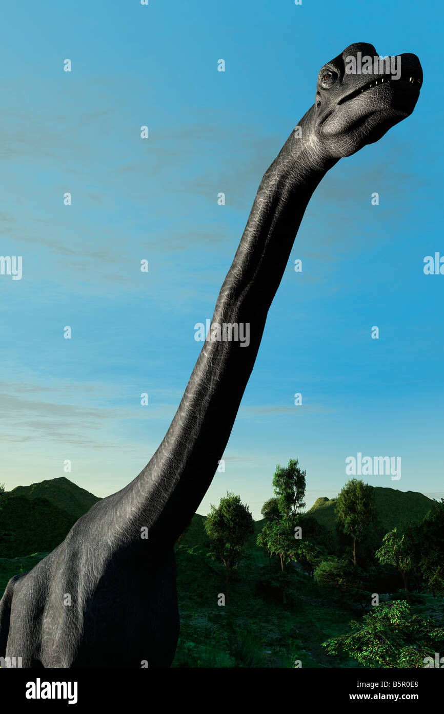 Brachiosaurus dinosaur hi-res stock photography and images - Alamy