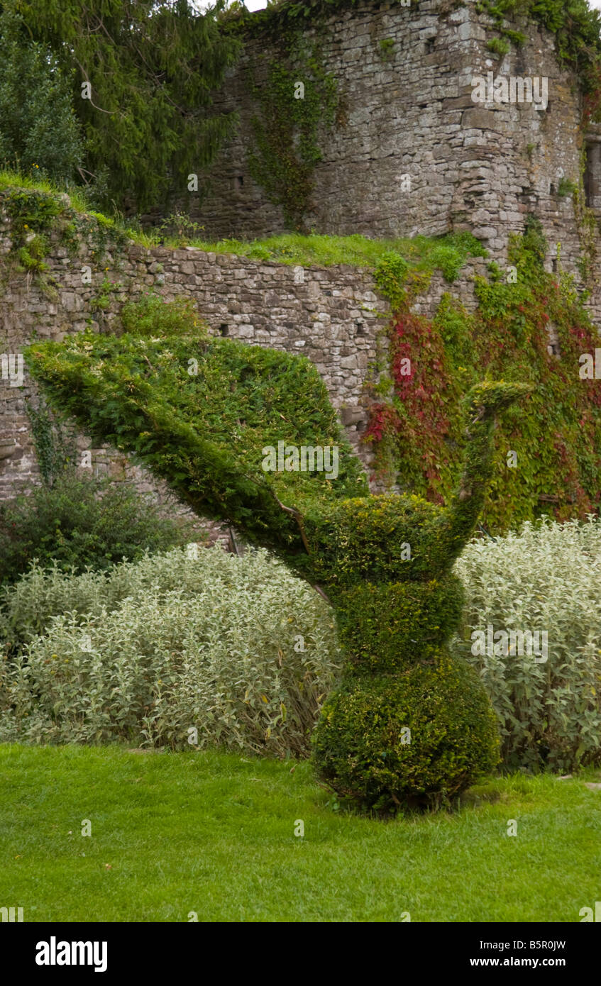 Peacock topiary hi-res stock photography and images - Alamy