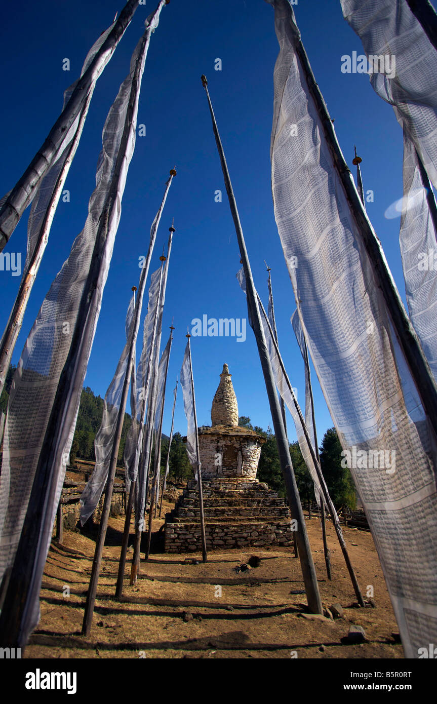 Prayer flags and stupa, Gangey valley, Bhutan Stock Photo - Alamy