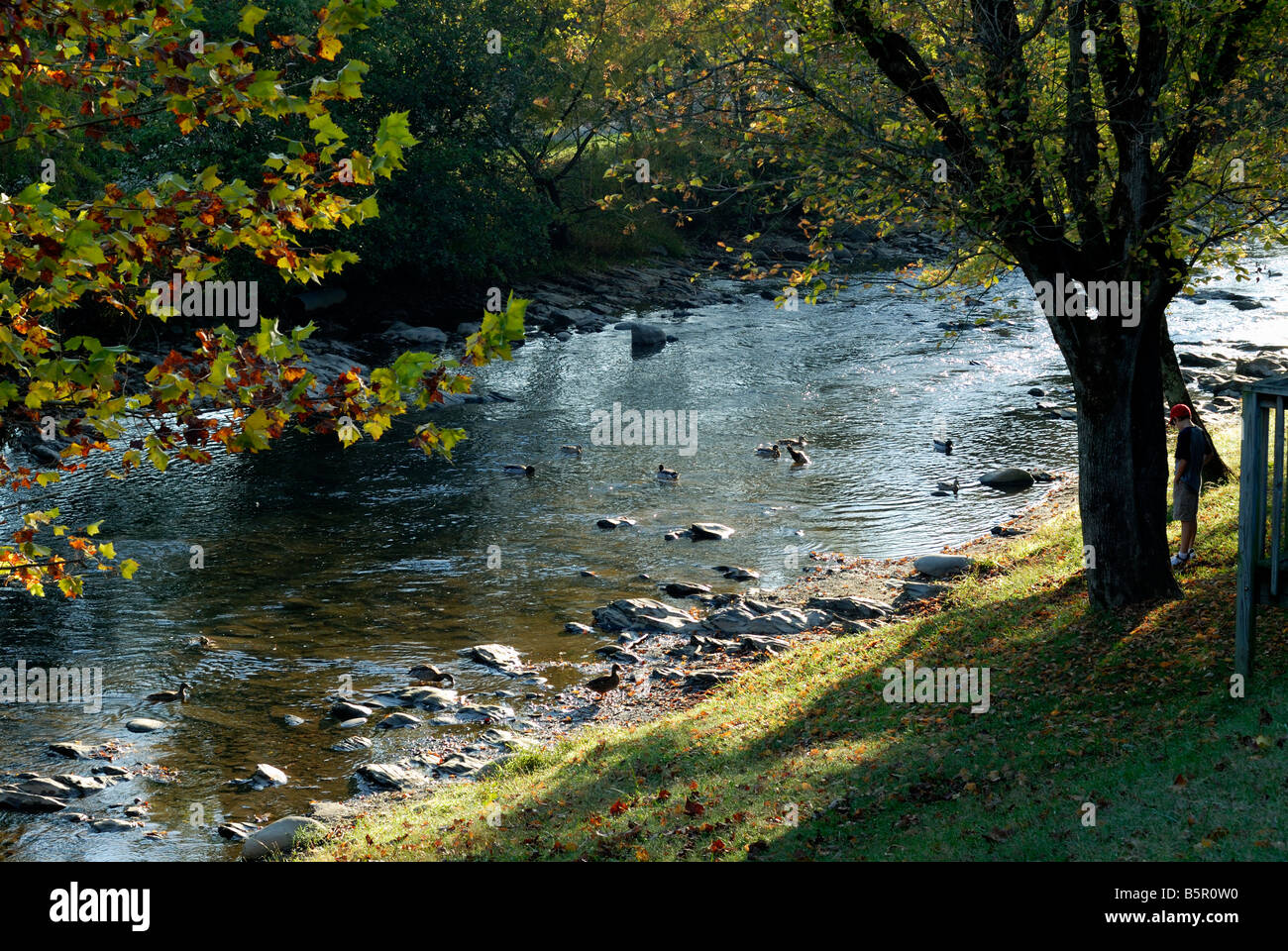 Young boy standing near a stream, Tennessee, USA Stock Photo - Alamy