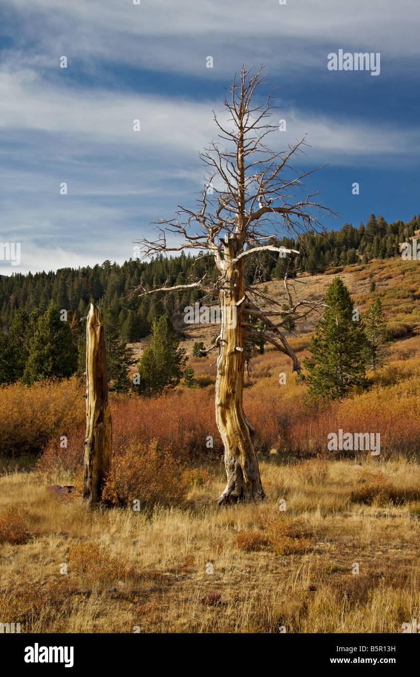 Lovely route hi-res stock photography and images - Alamy