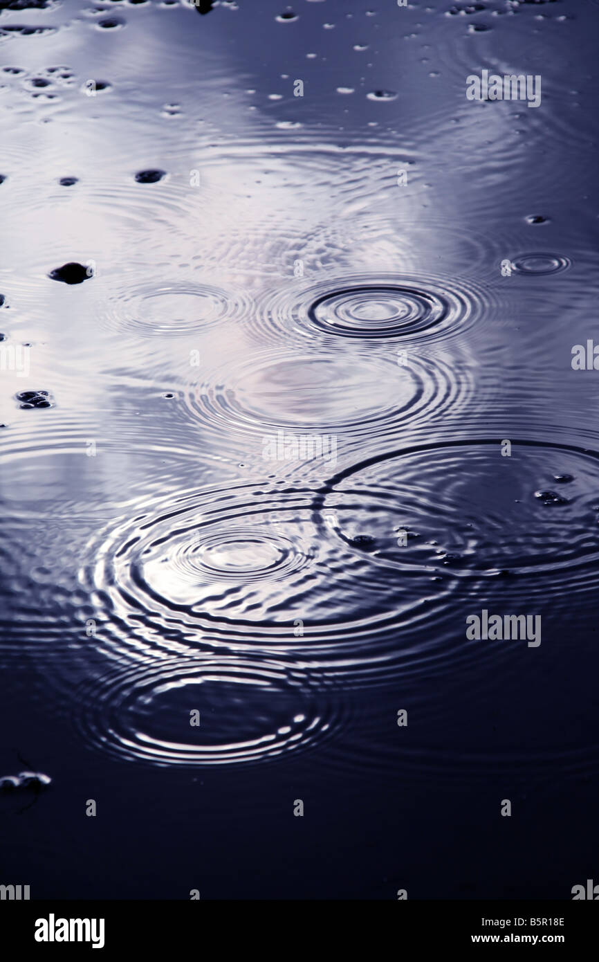 rain drops falling in cold blue water puddle in street at night Stock ...