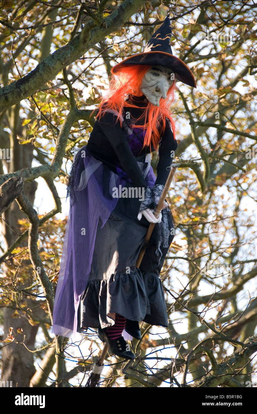 Witch hanging from tree,Scotland Stock Photo - Alamy