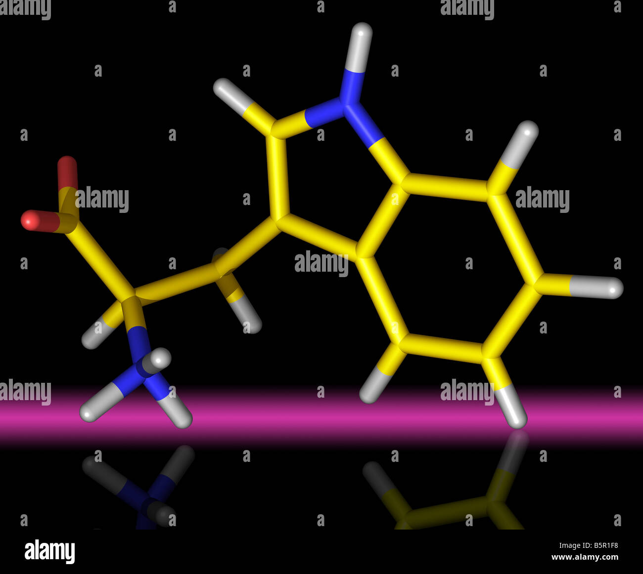 Tryptophan highly important metabolic precursor hi-res stock ...