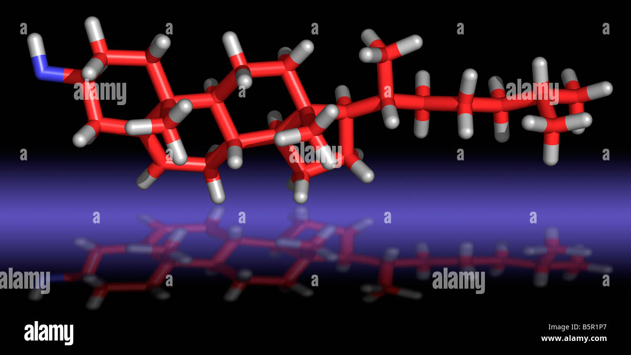 Cholesterol 3d Structure
