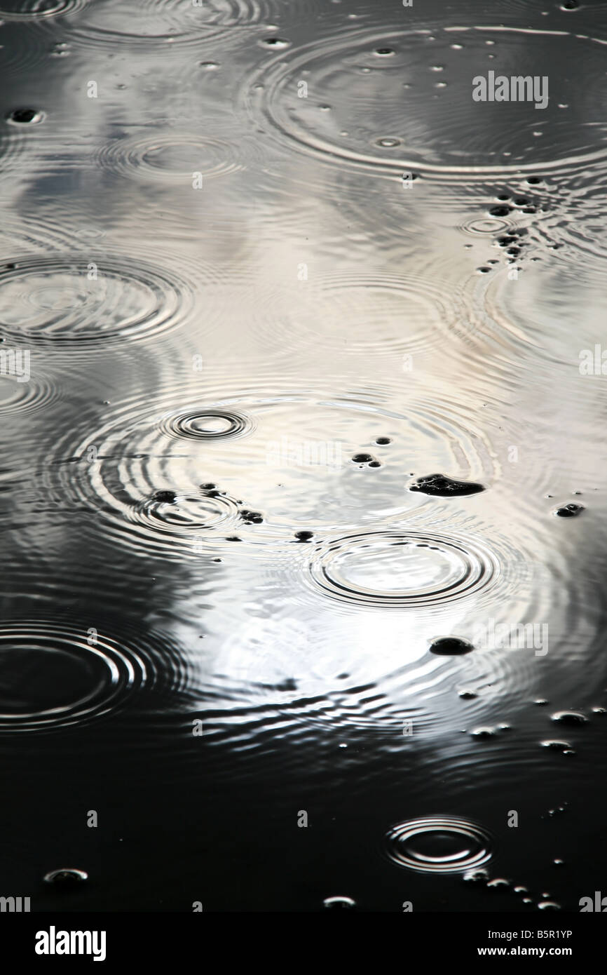 rain drops falling in cold blue water puddle in street at night Stock ...