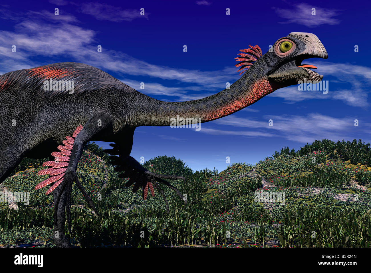 Gigantoraptor hi-res stock photography and images - Alamy