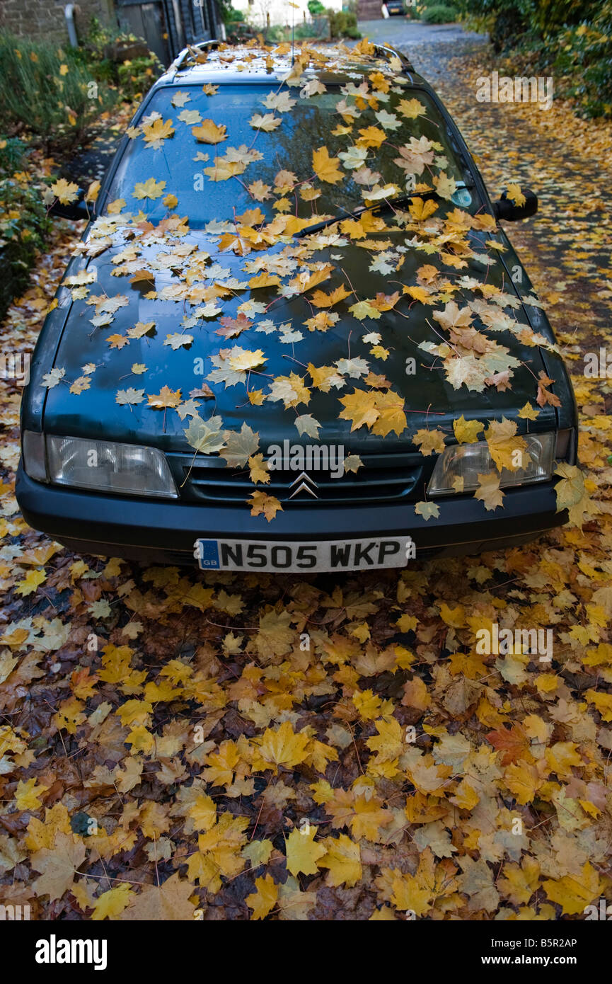 Car fallen hi-res stock photography and images - Alamy