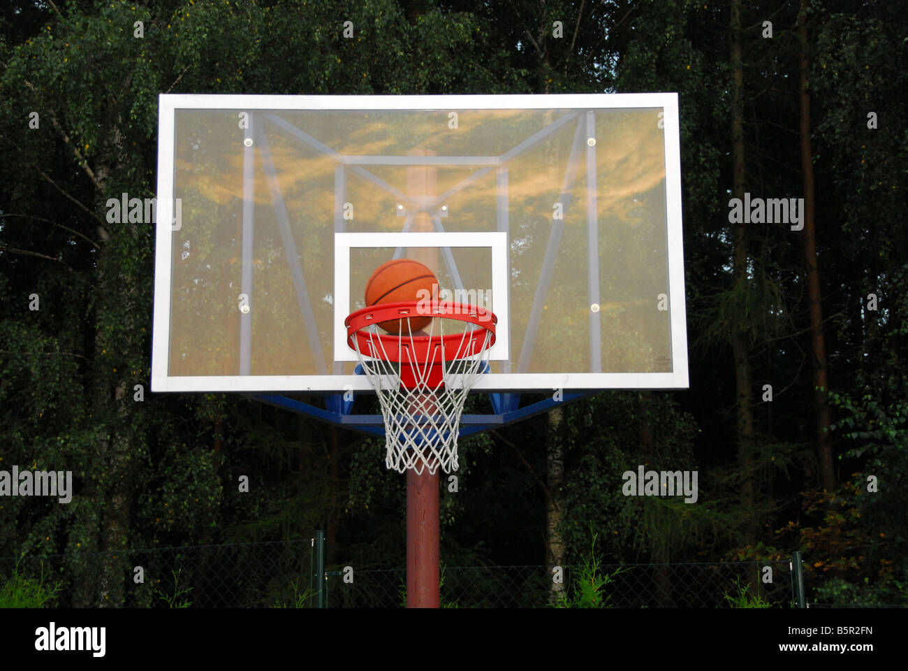 basketball table on the background of forest Stock Photo - Alamy