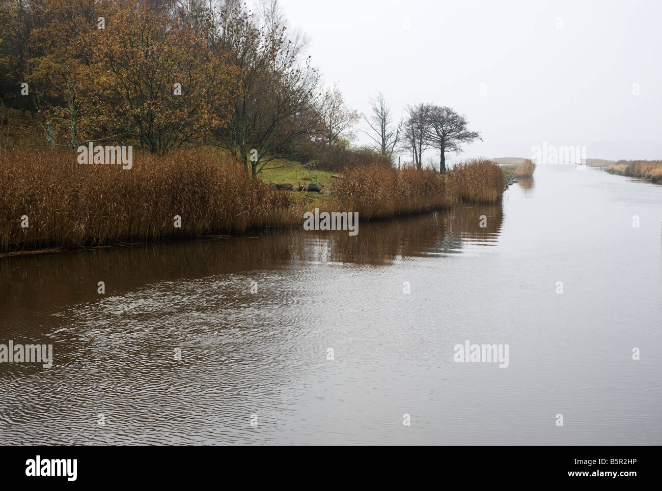 fall in Sweden Stock Photo - Alamy