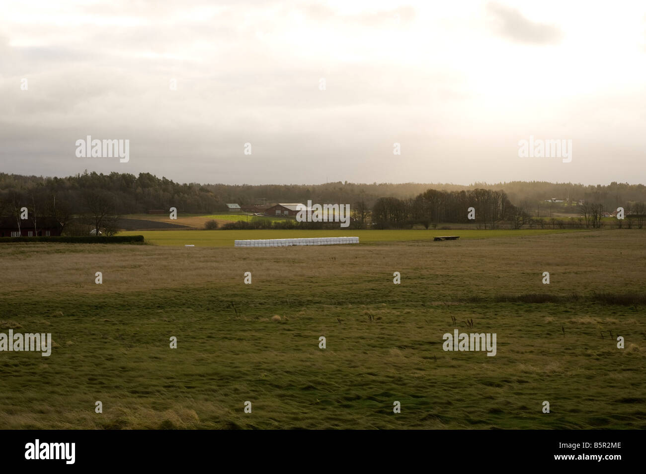 Sweden field hi-res stock photography and images - Alamy
