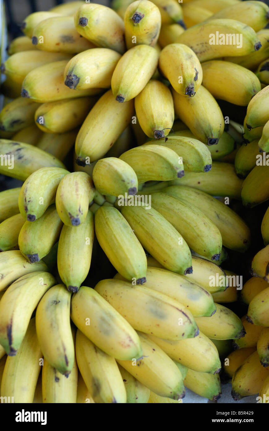 Bundle Of Bananas High Resolution Stock Photography and Images - Alamy