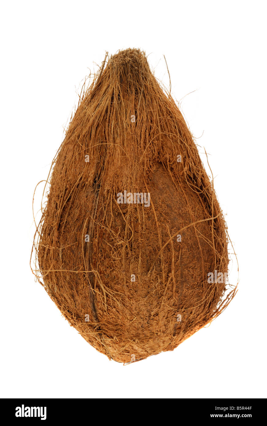Use of coconut hi-res stock photography and images - Alamy