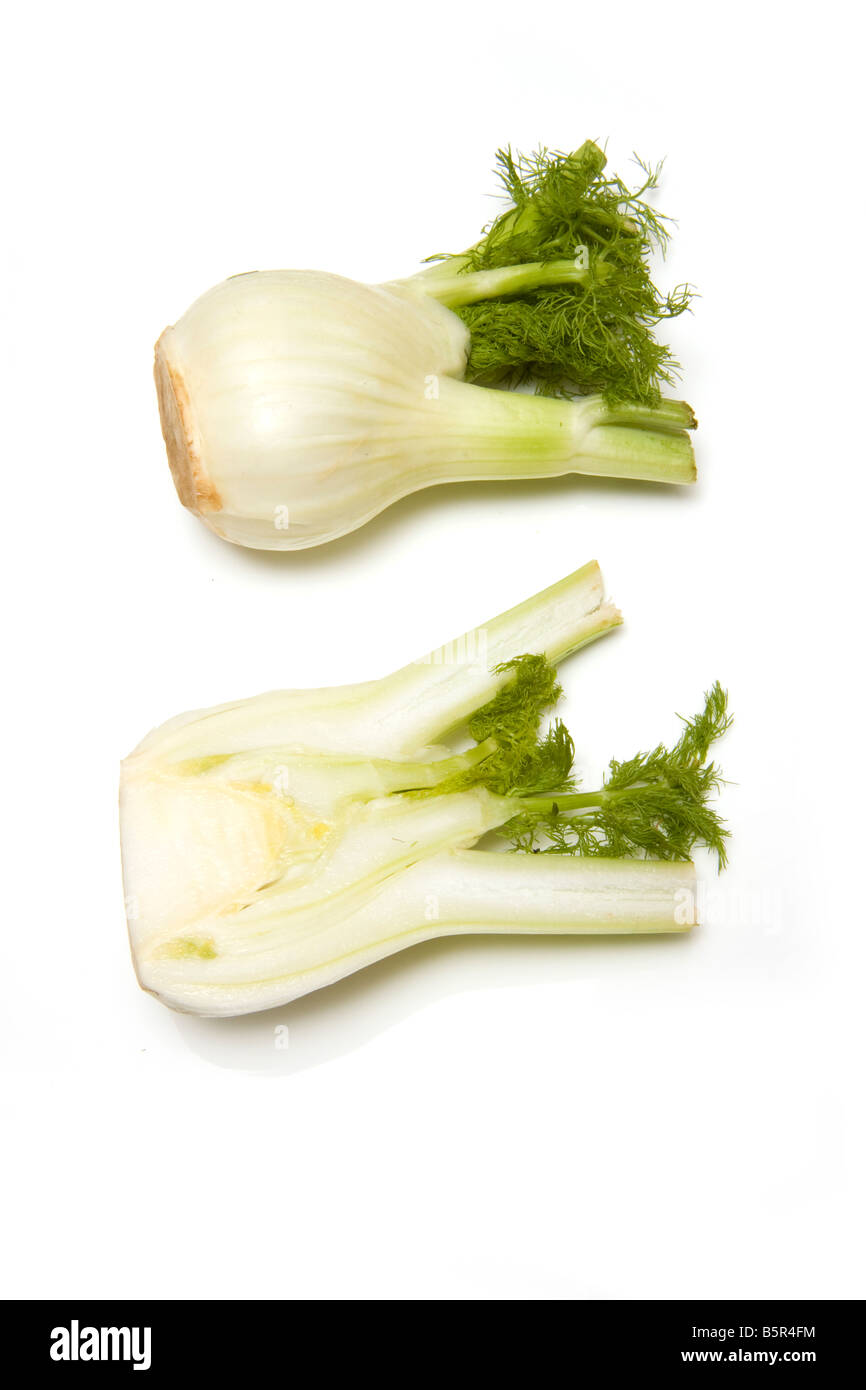 Fennel isolated on a white studio background Stock Photo - Alamy