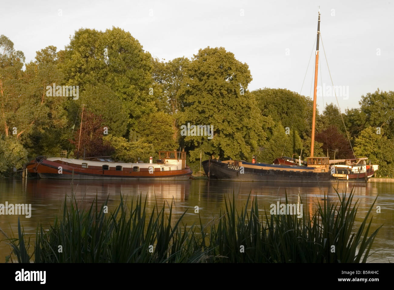 River Boats moored on The River Thames Old Windsor Stock Photo - Alamy
