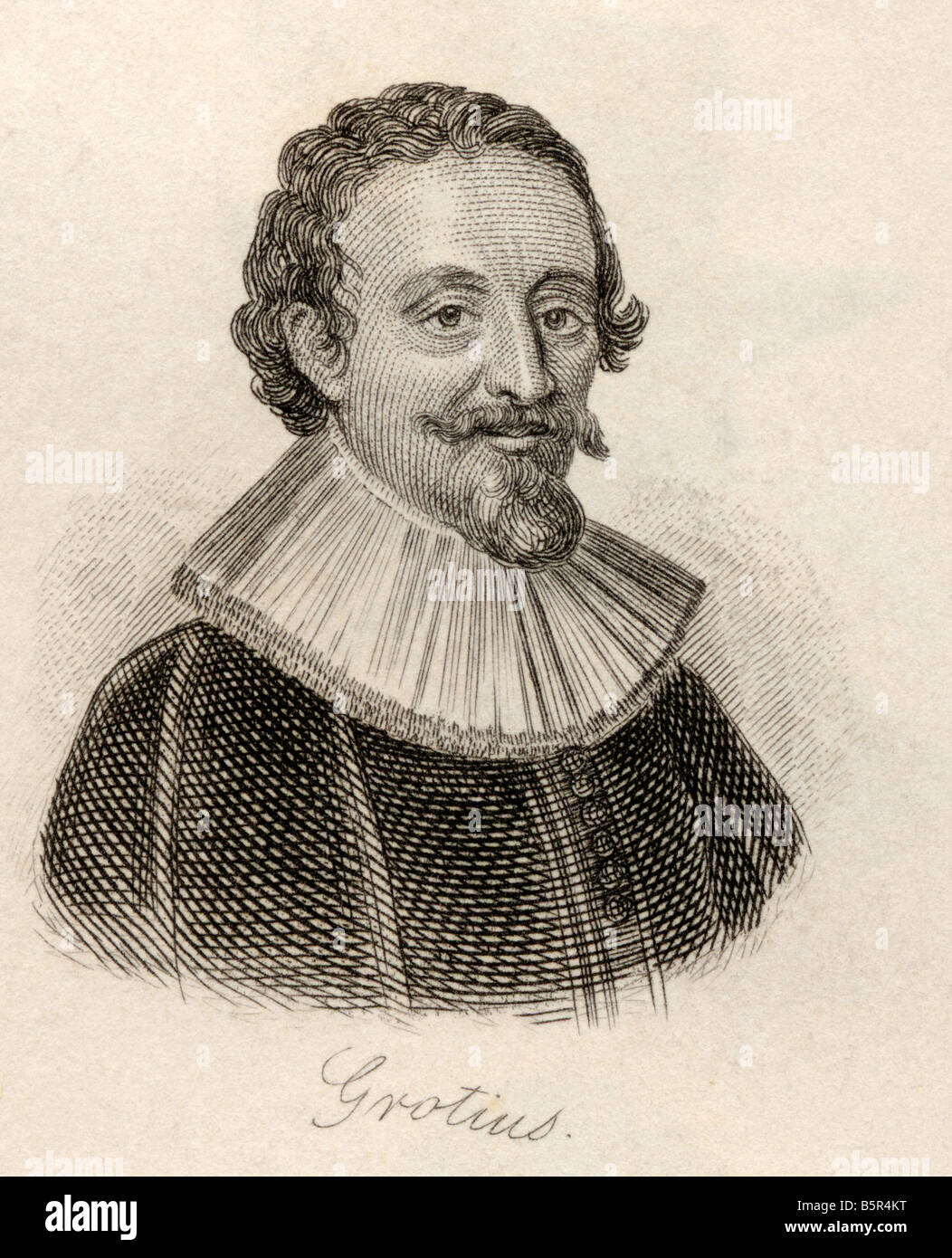 Groot High Resolution Stock Photography and Images - Alamy