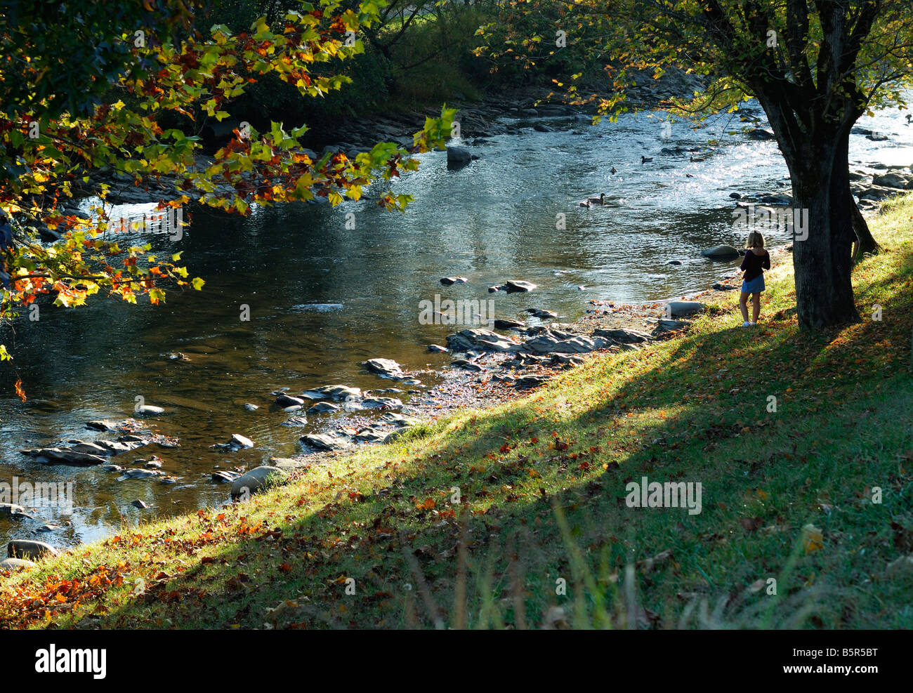 Young girl standing by a stream, Tennessee, USA Stock Photo - Alamy