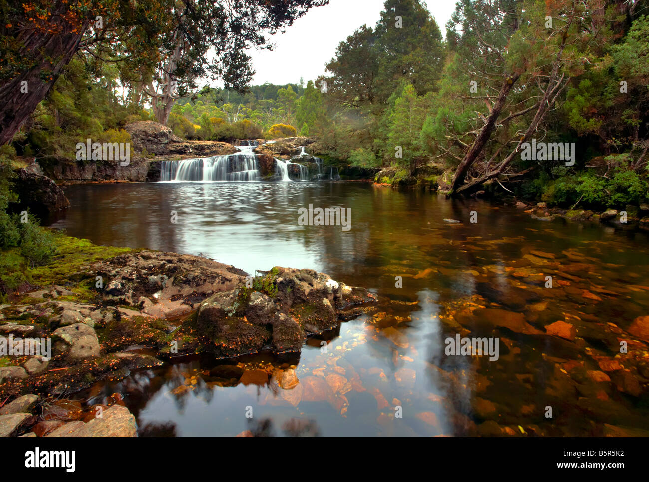 Pencil Pine Falls Stock Photo - Alamy