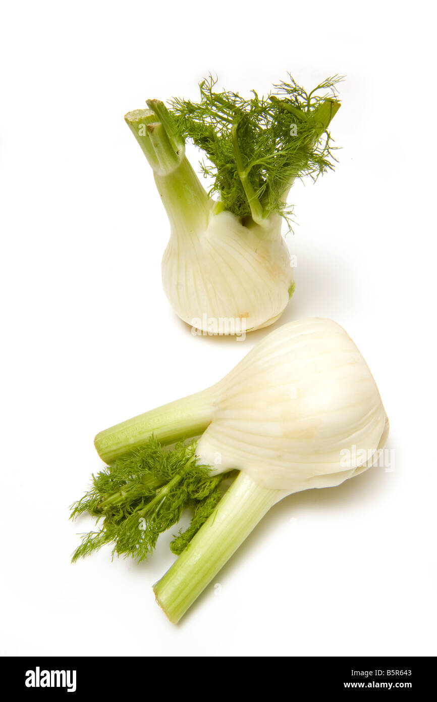 Fennel isolated on a white studio background Stock Photo - Alamy