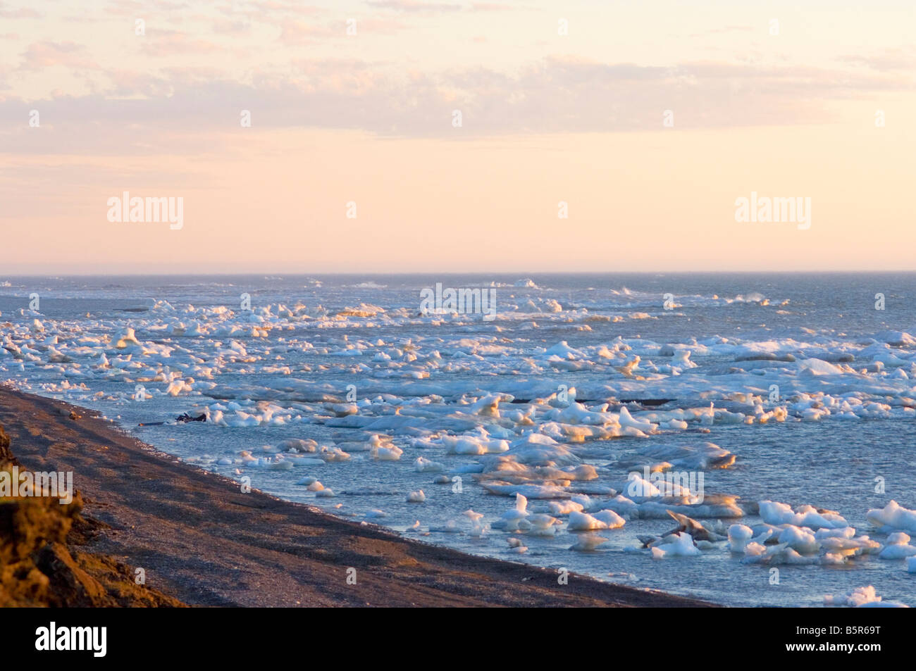 shorefast ice pack ice ice ice floe melting floating water sunset ...