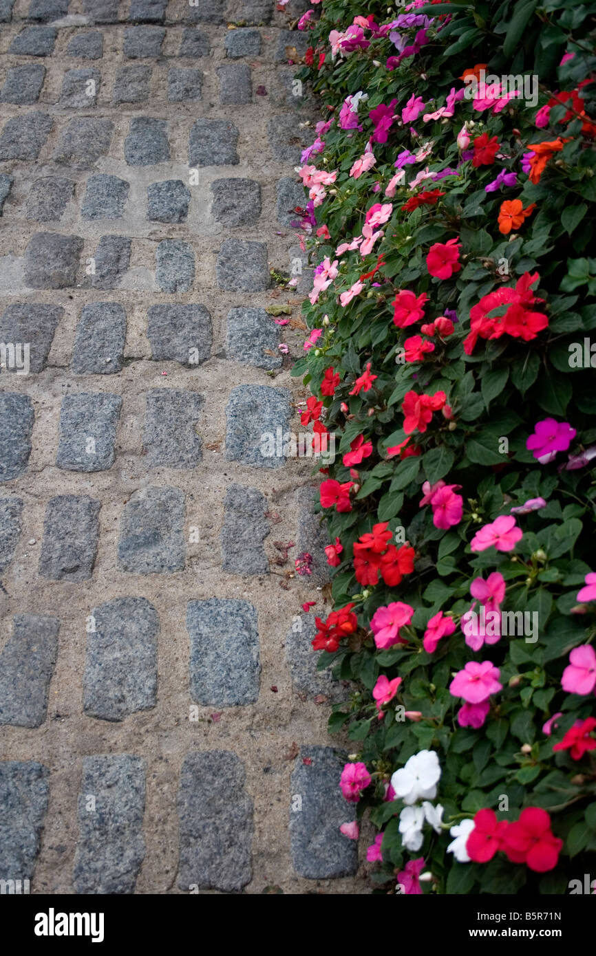 Cobblestone sidewalk and flowers Stock Photo - Alamy