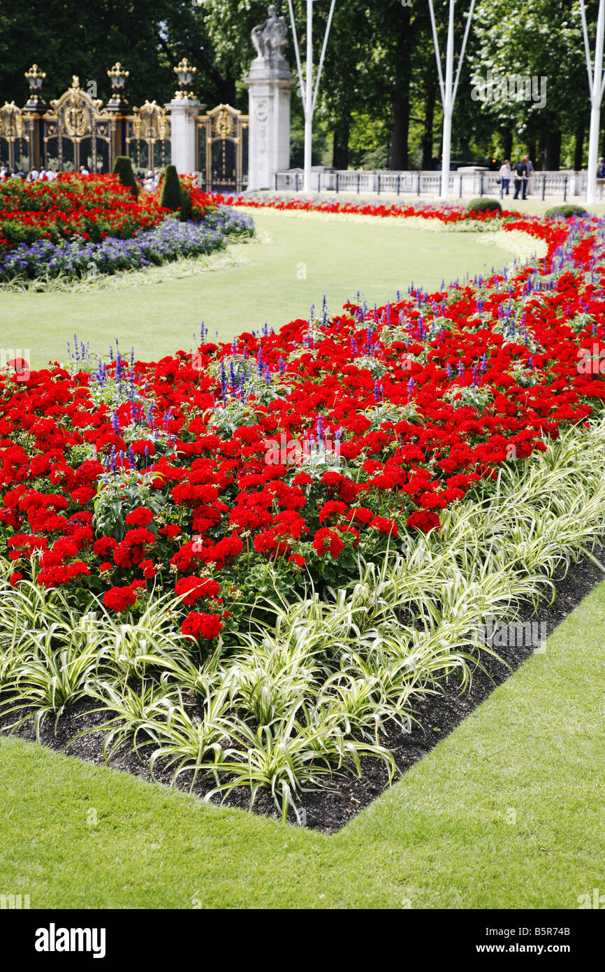 Carnation queen hi-res stock photography and images - Alamy