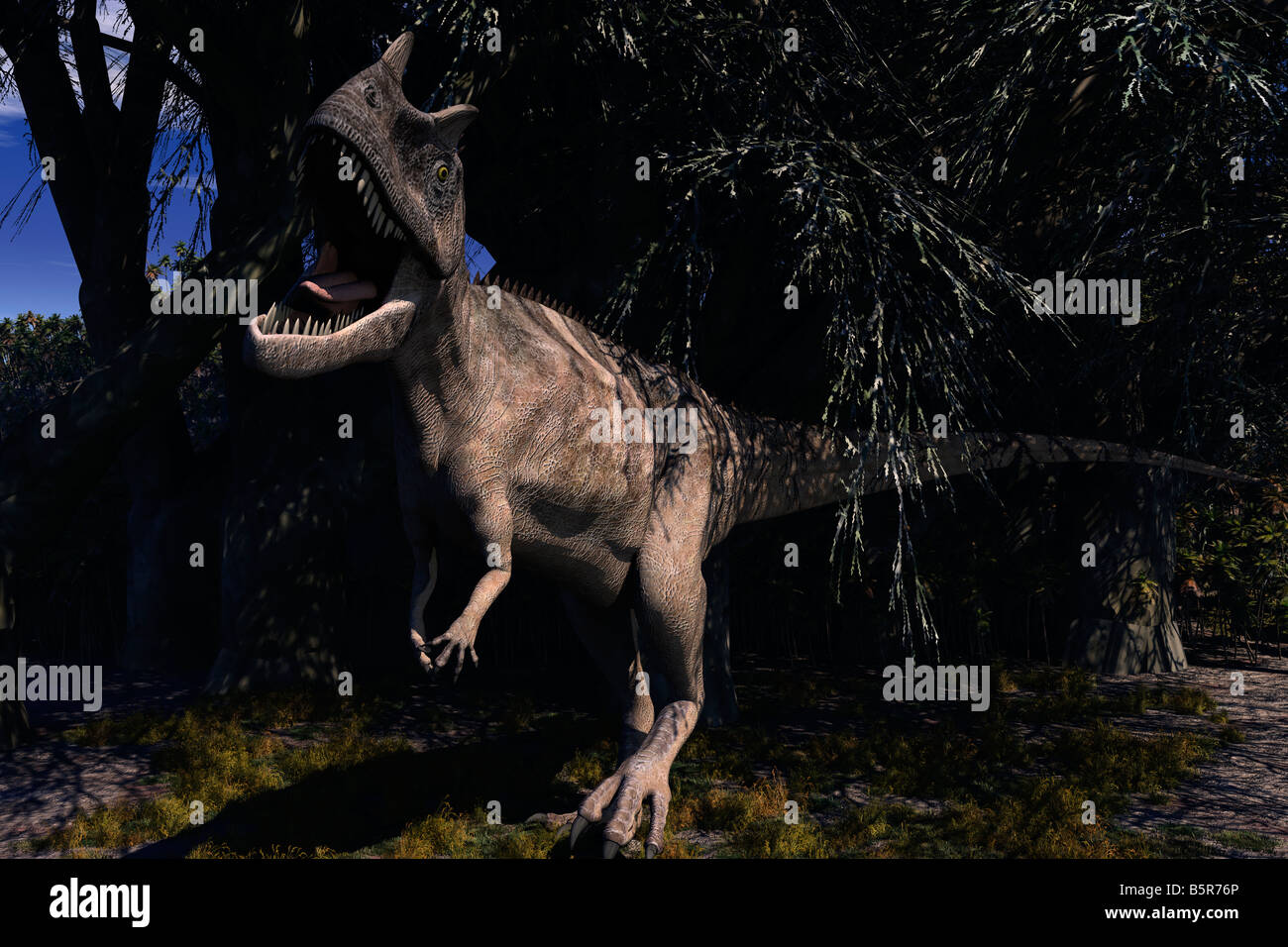 Dinosaur ceratosaurus hi-res stock photography and images - Alamy