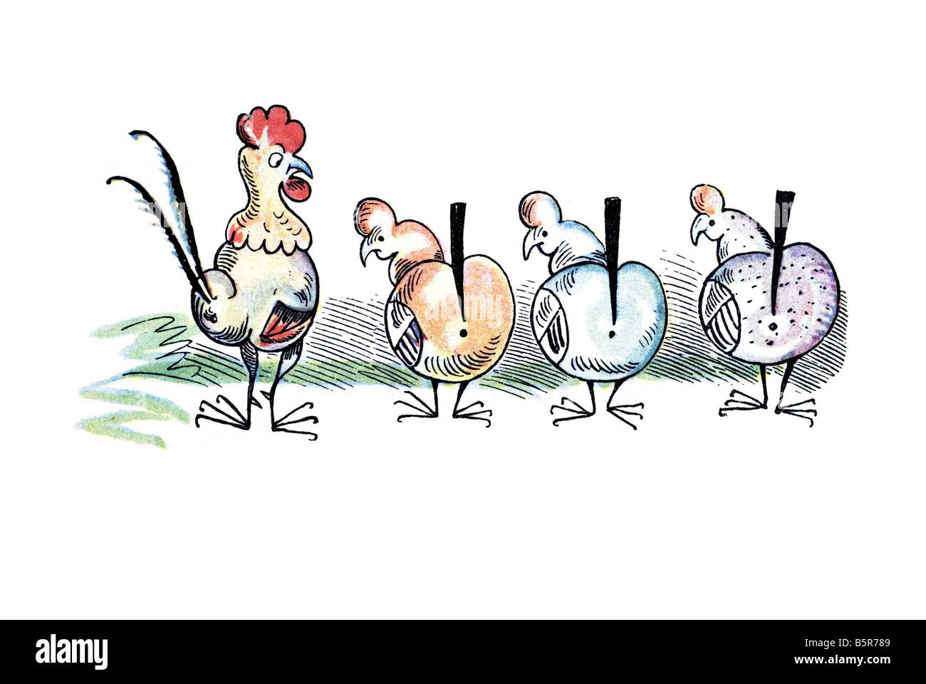 Max chicken hi-res stock photography and images - Alamy